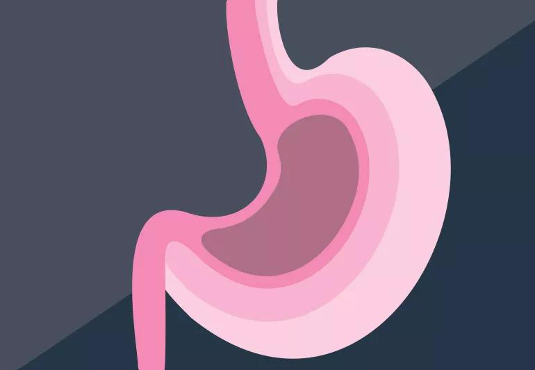 Does My Stomach Actually Shrink When I Lose Weight?