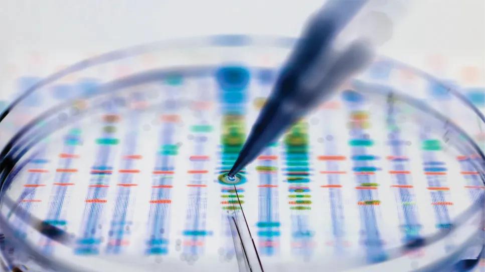 Five Percent of U.S. Has Variants Linked to Cancer Risk