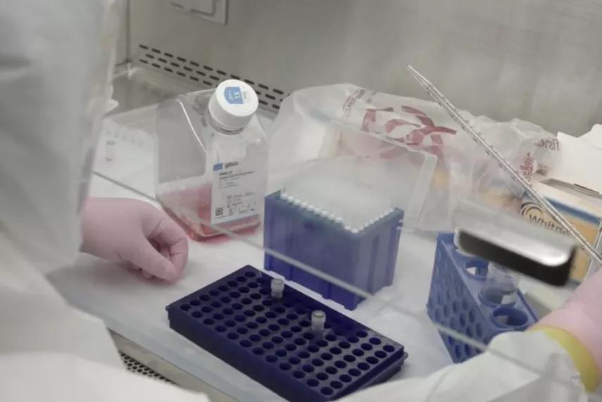 Researchers Working to Create Universal Flu Vaccine