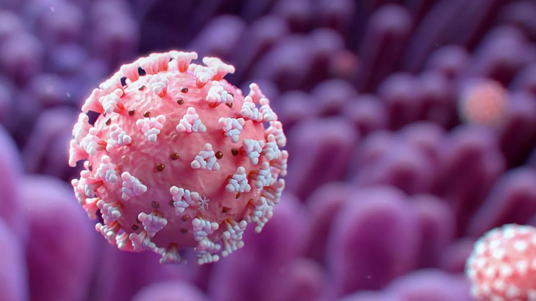 Research Finds Paxlovid and Legevrio Reduced COVID-19 Hospitalization ... Research Finds Paxlovid and Legevrio Reduced COVID-19 Hospitalization ...
