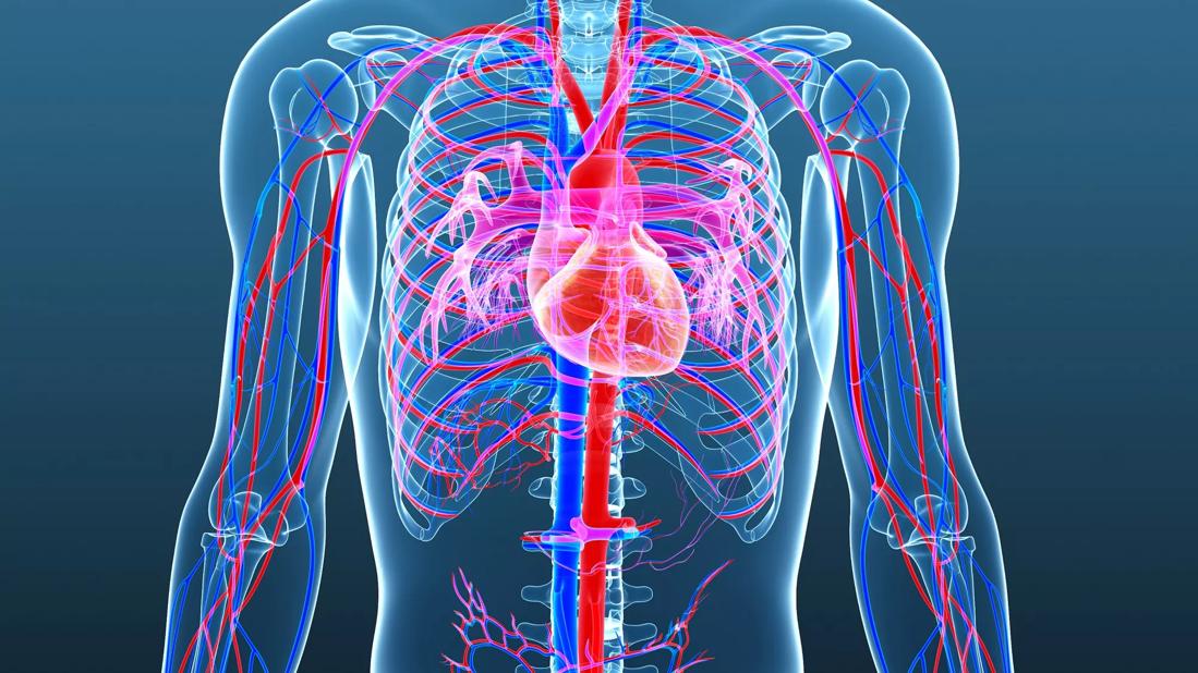 Cleveland Clinic Study Finds Drug Abuse-Related Heart Infections Rising ...