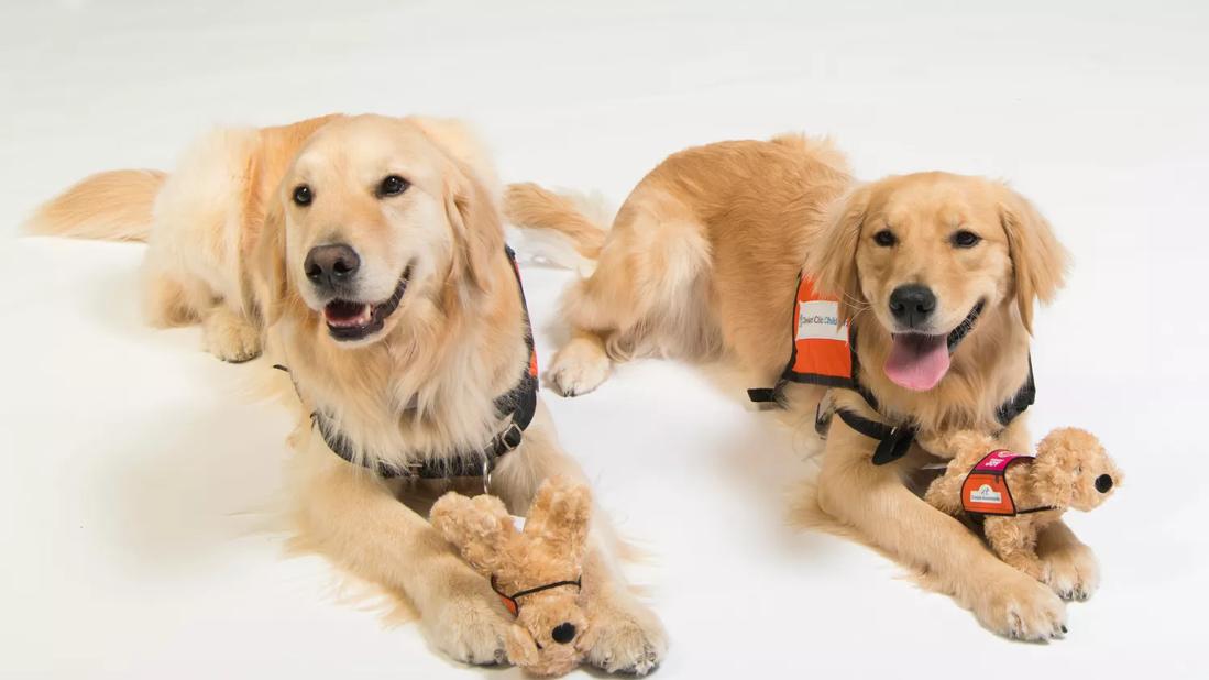 Cleveland Clinic Children’s Facility Dogs Embark on International Adventure