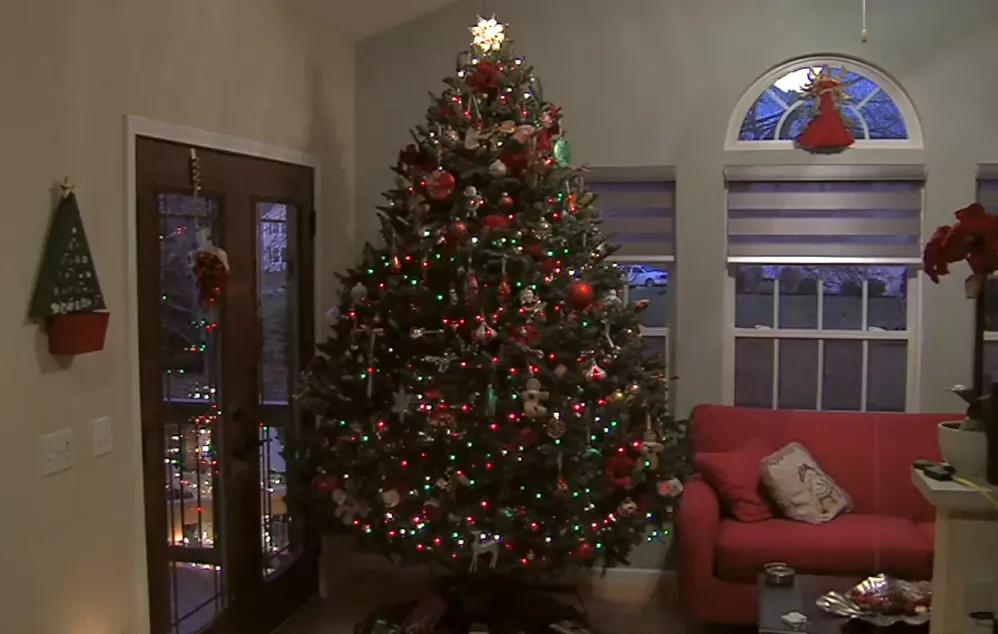 Is your Christmas Tree Causing your Allergies to Flare Up?
