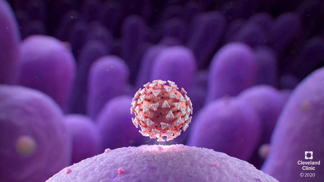 Frequently Asked Questions about Coronavirus Disease 2019 (COVID-19)