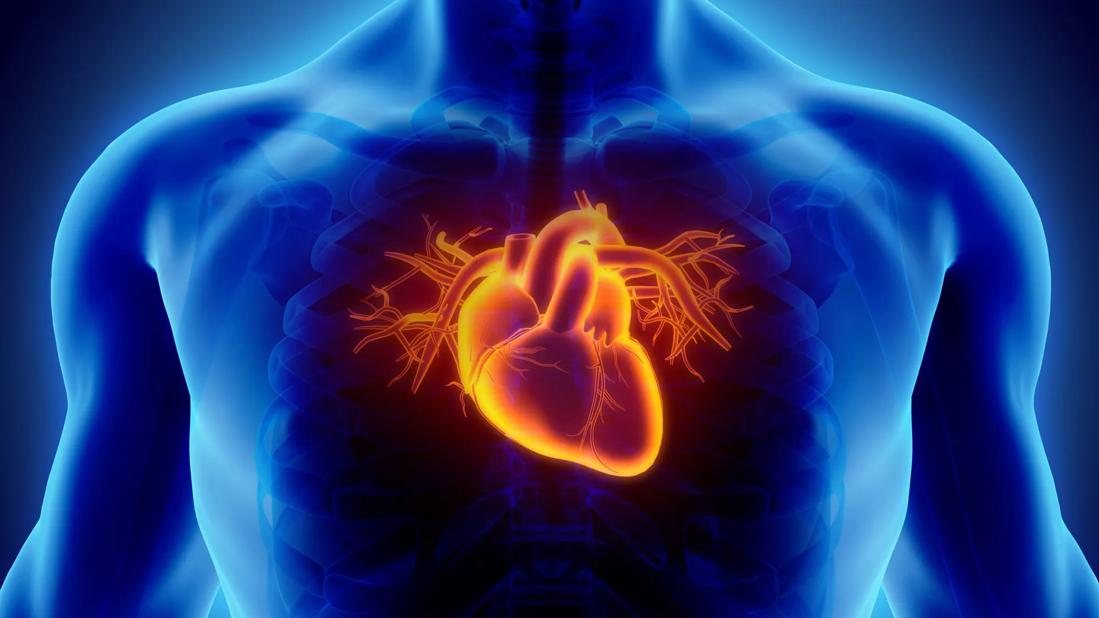 Cleveland Clinic Study Identifies Weight-Loss Threshold for ...