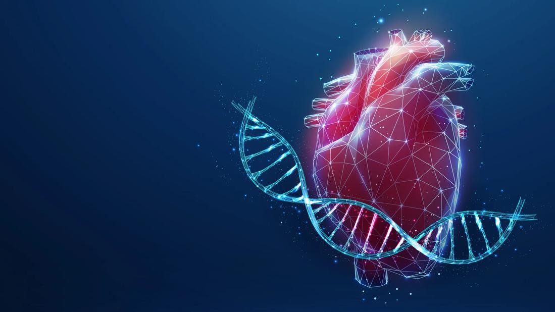 heart-genetics-stock