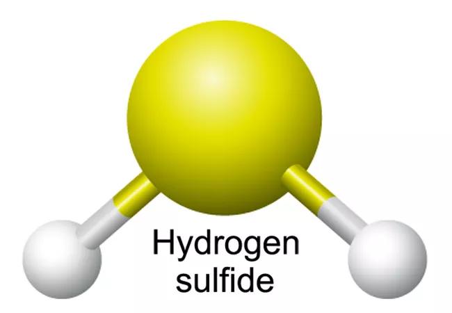 Can Boosting Hydrogen Sulfide Bolster Standard-of-Care Glioblastoma ...