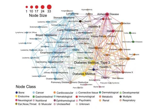 Network-Based Tool Predicts Disease Comorbidities