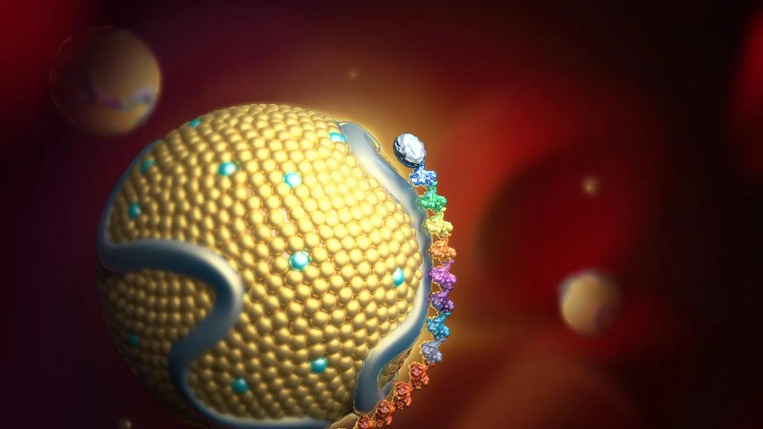 Experimental Gene-Silencing Drug Produces Long-Duration Reduction in ...