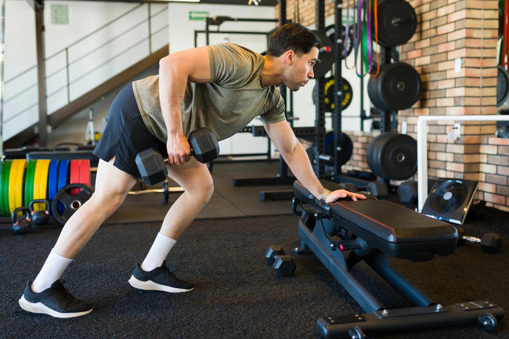 One Arm Dumbbell Row Muscles Worked