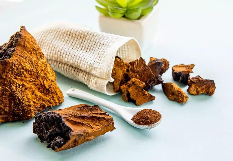 Chaga Mushroom How To Cook And Bake With Chaga Mushrooms. | Edible
